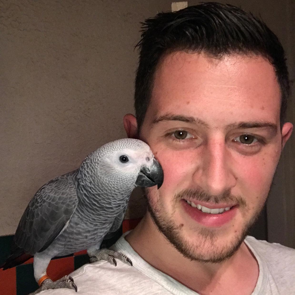 TV Time - Stringers: LA (TVShow Time)